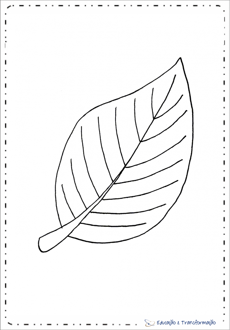 Moldes de Folha – Educação e Transformação