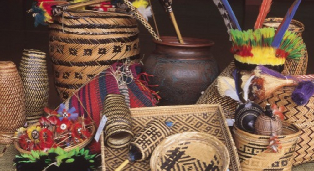 Raízes Indígenas – Educação e Transformação