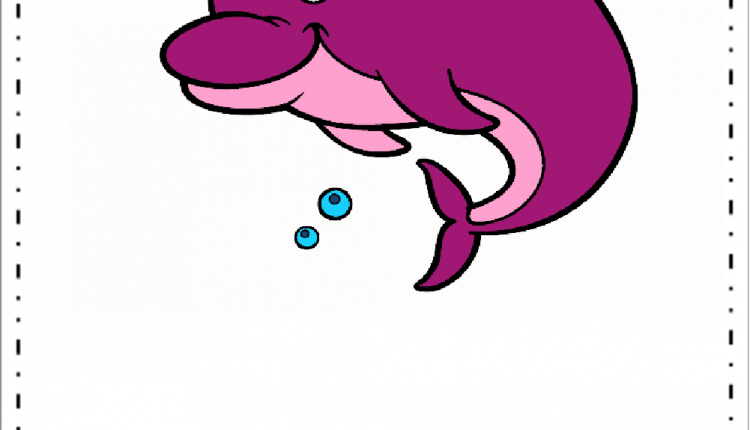 Desenhos do Boto cor de rosa colorido – Educação e Transformação