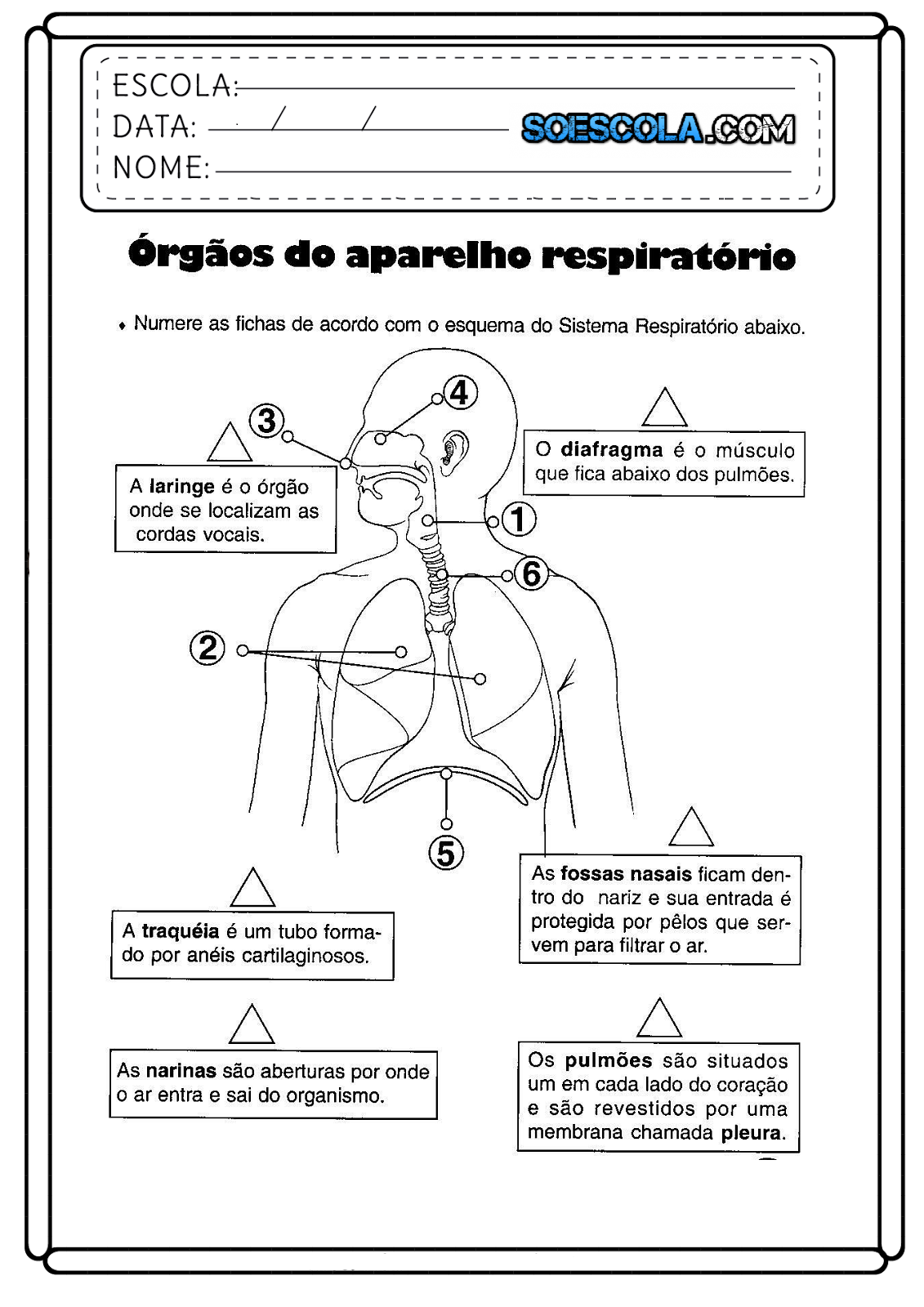 Atividades De Ciências 9 Ano Para Imprimir - EDUKITA Atividades De Ciências 9 Ano Para Imprimir - EDUKITA